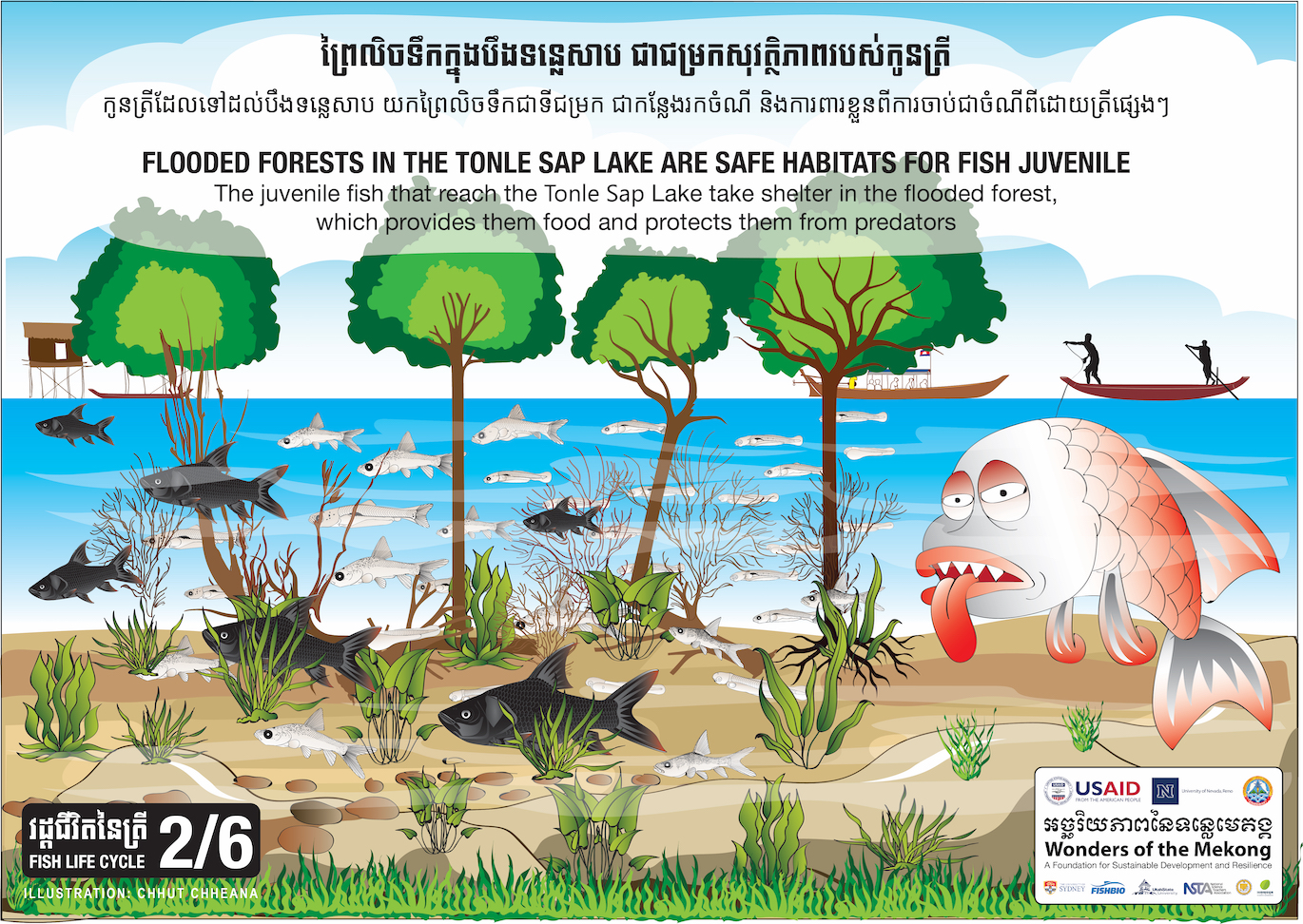 Infographics: Fish Life Cycles in Cambodia's Tonle Sap - Mekong Fish ...